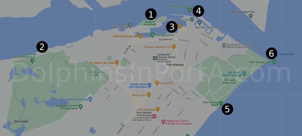 Best Places to See Wild Dolphins in Port Aransas. - Dolphins In Port ...